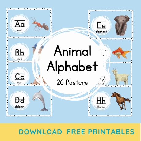 Animal Alphabet Posters - 26 Pages – Labels4School